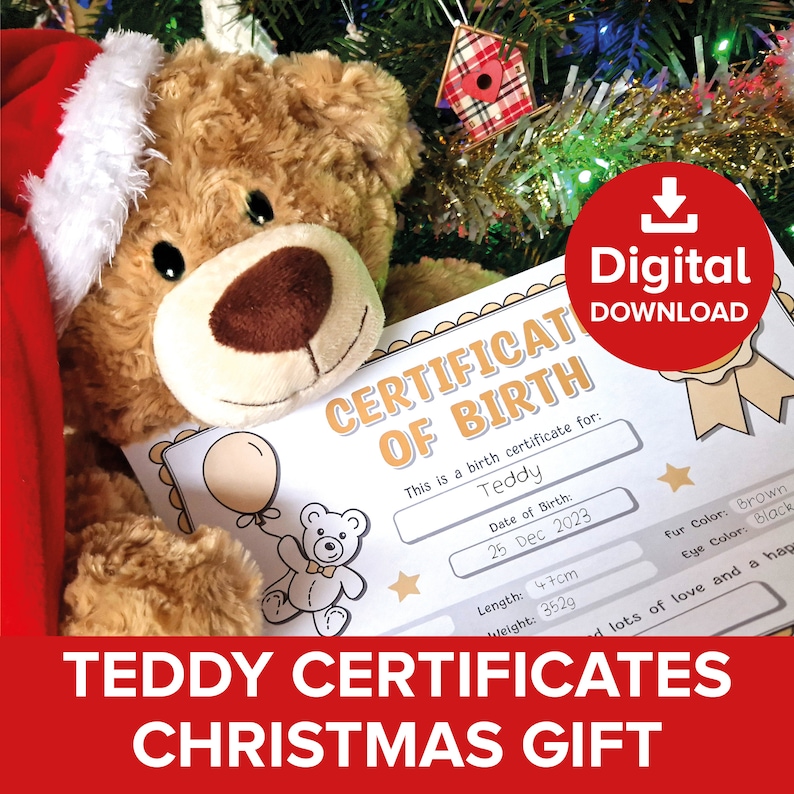 Teddy Birth Certificates, Plushie Adoption Certificate Form Template ...