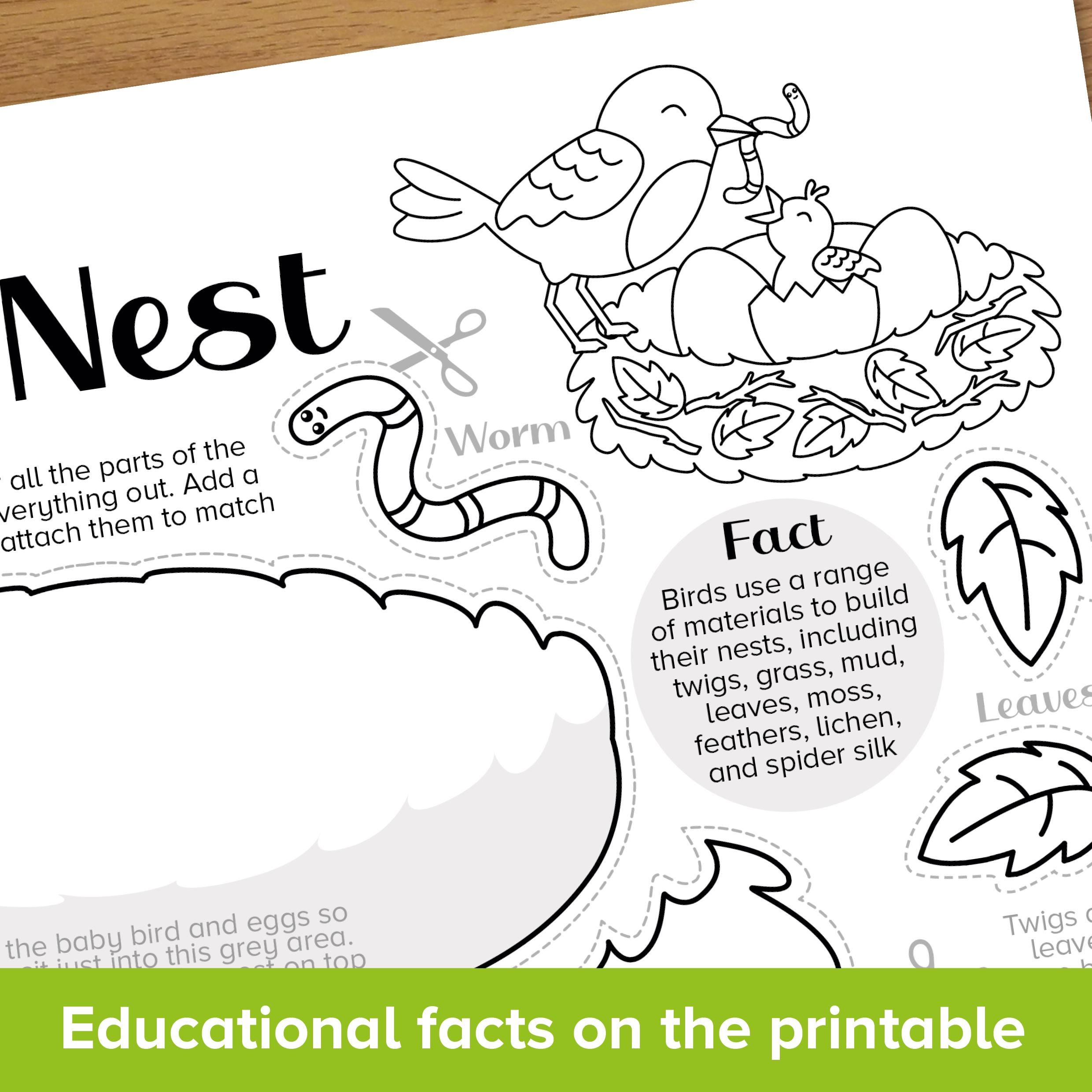 Bird's Nest Cut & Paste Craft Printable, Spring Animal Color and Build ...
