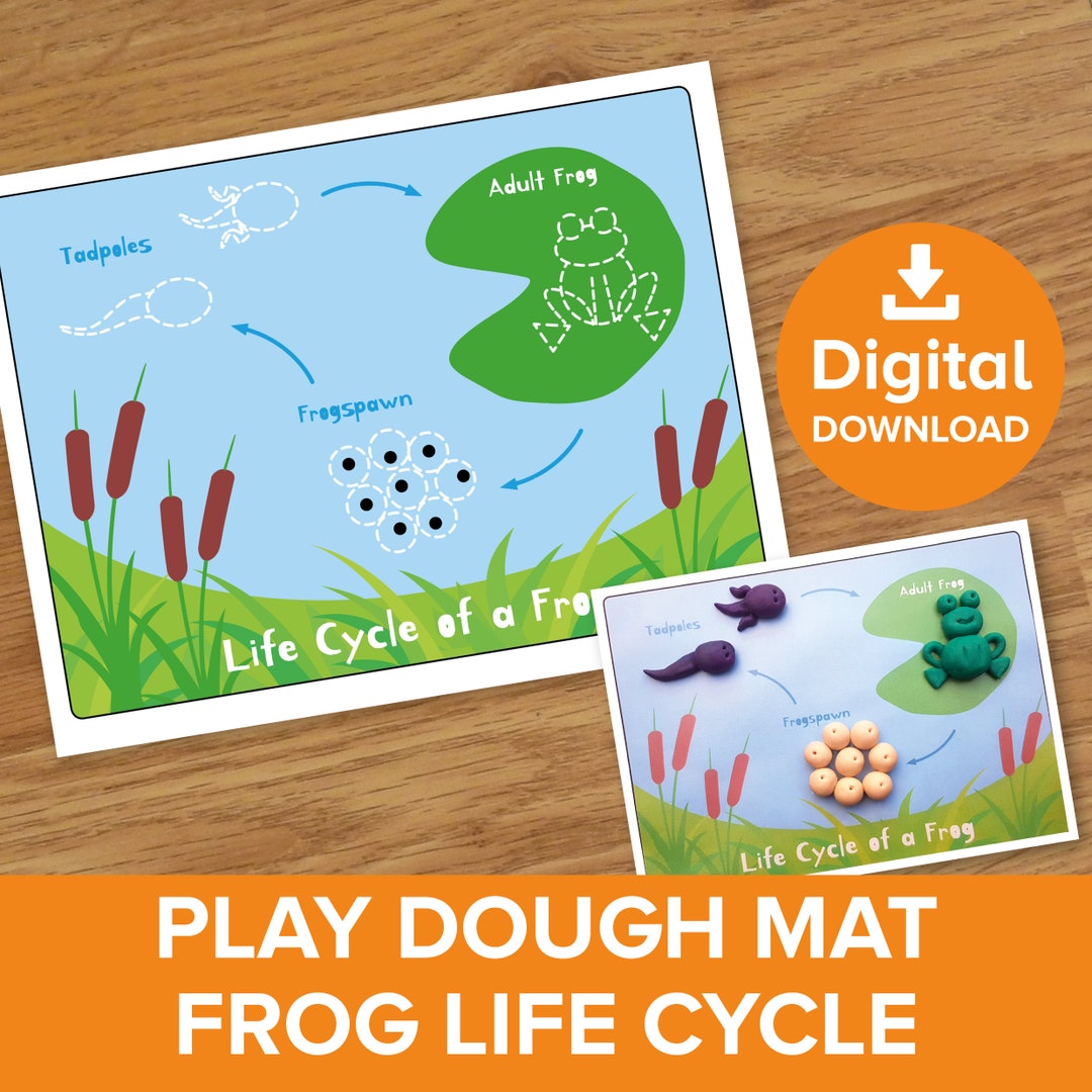 Life Cycle of a Frog Play Dough Mat, Nature Pond Educational Playdoh ...