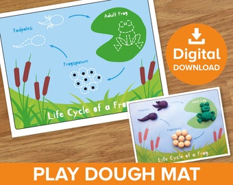 Life Cycle of a Butterfly Play Dough Mat, Kids Homeschool Caterpillar ...
