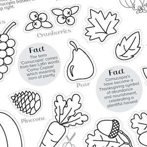 Build a Cornucopia Cut & Paste Craft, Thanksgiving Basket Model, Fall ...