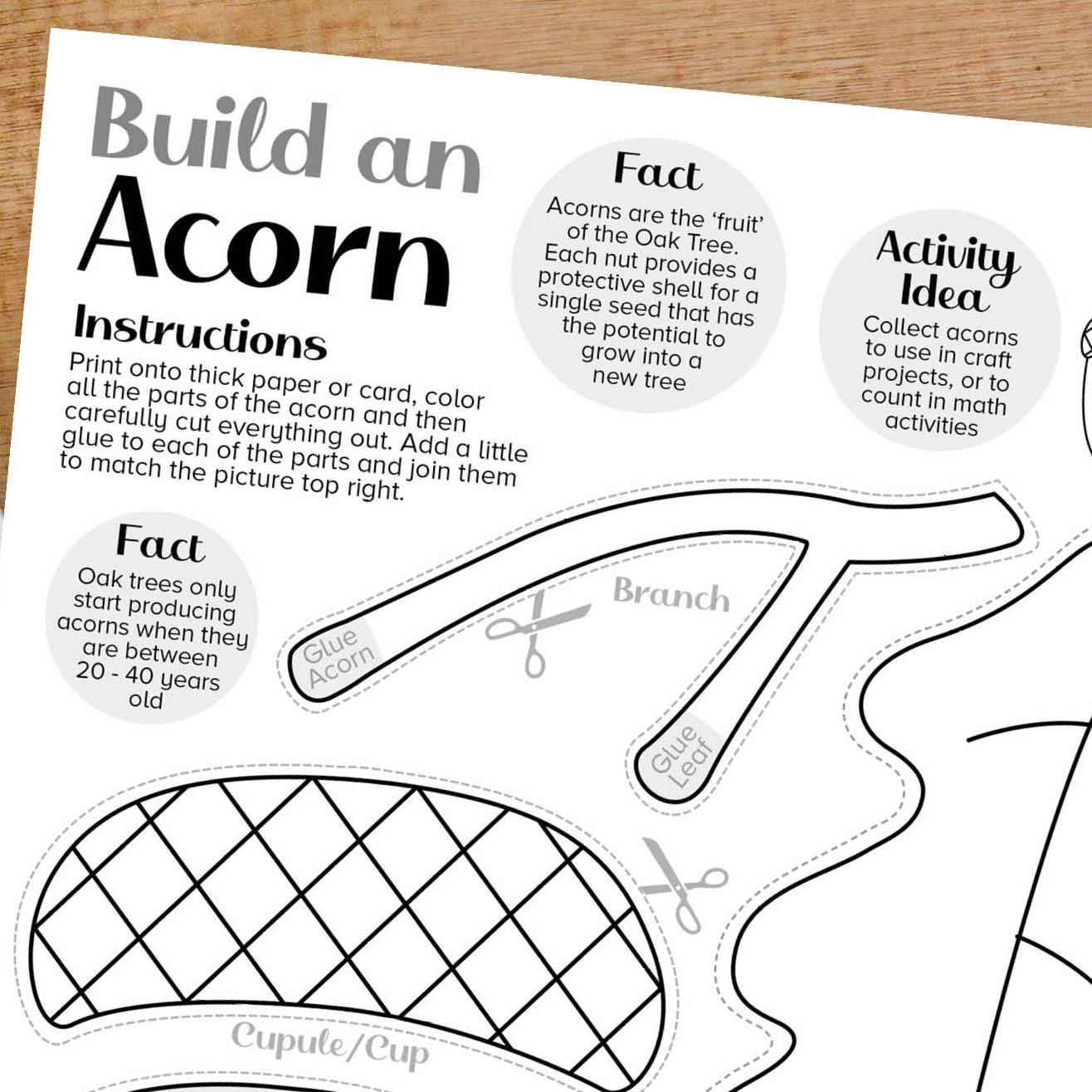 Build an Acorn Cut & Paste Craft, Autumn Fall Coloring Activity Page ...