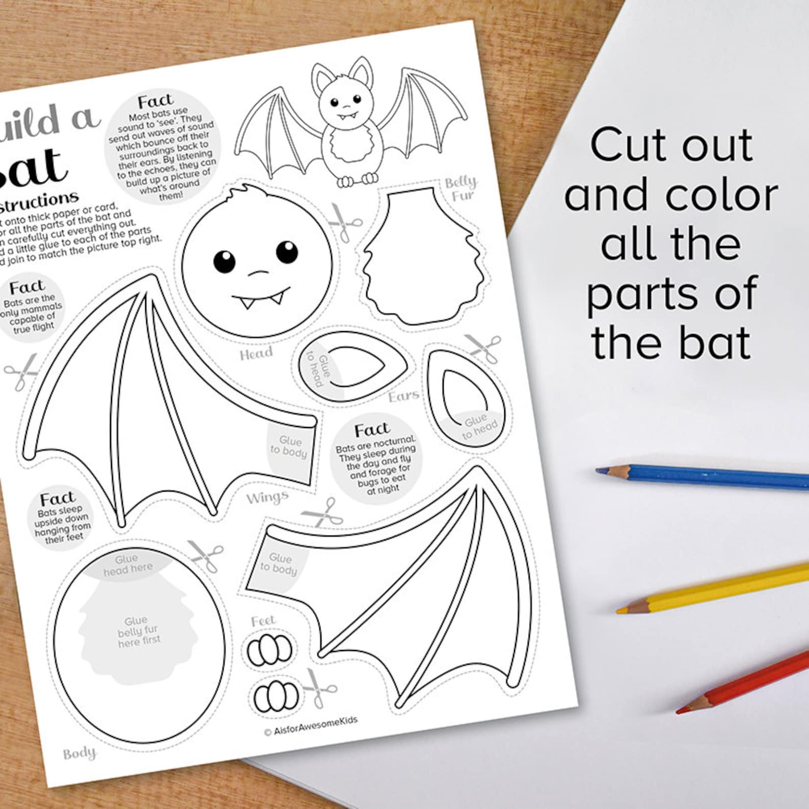 Build a Bat Cut & Paste Craft, Halloween Creature Coloring Kit, Night ...