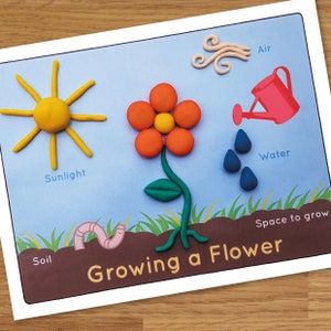Growing a Flower Play Dough Mat, Kids Gardening Playdoh Homeschool ...