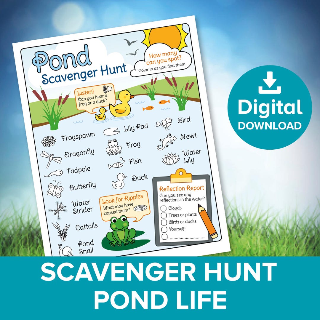 Pond Scavenger Treasure Hunt, Kids Wildlife Look & Find Trail ...
