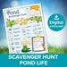 Pond Scavenger Treasure Hunt, Kids Wildlife Look & Find Trail ...