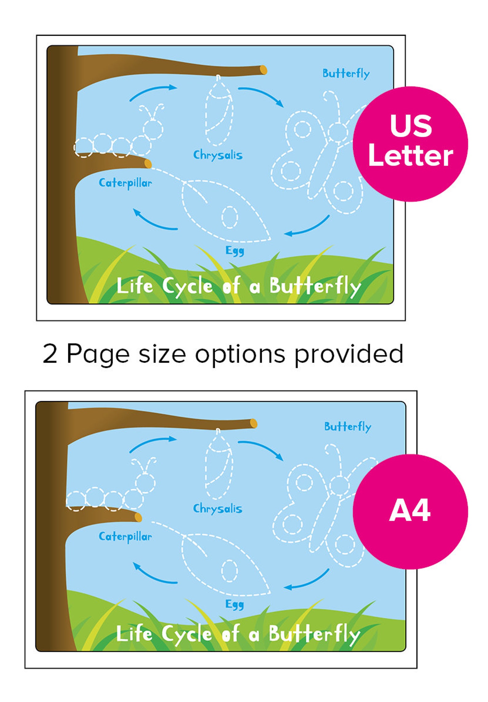 Life Cycle of a Butterfly Play Dough Mat, Kids Homeschool Caterpillar ...