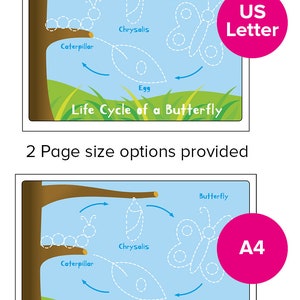 Life Cycle of a Butterfly Play Dough Mat, Kids Homeschool Caterpillar ...