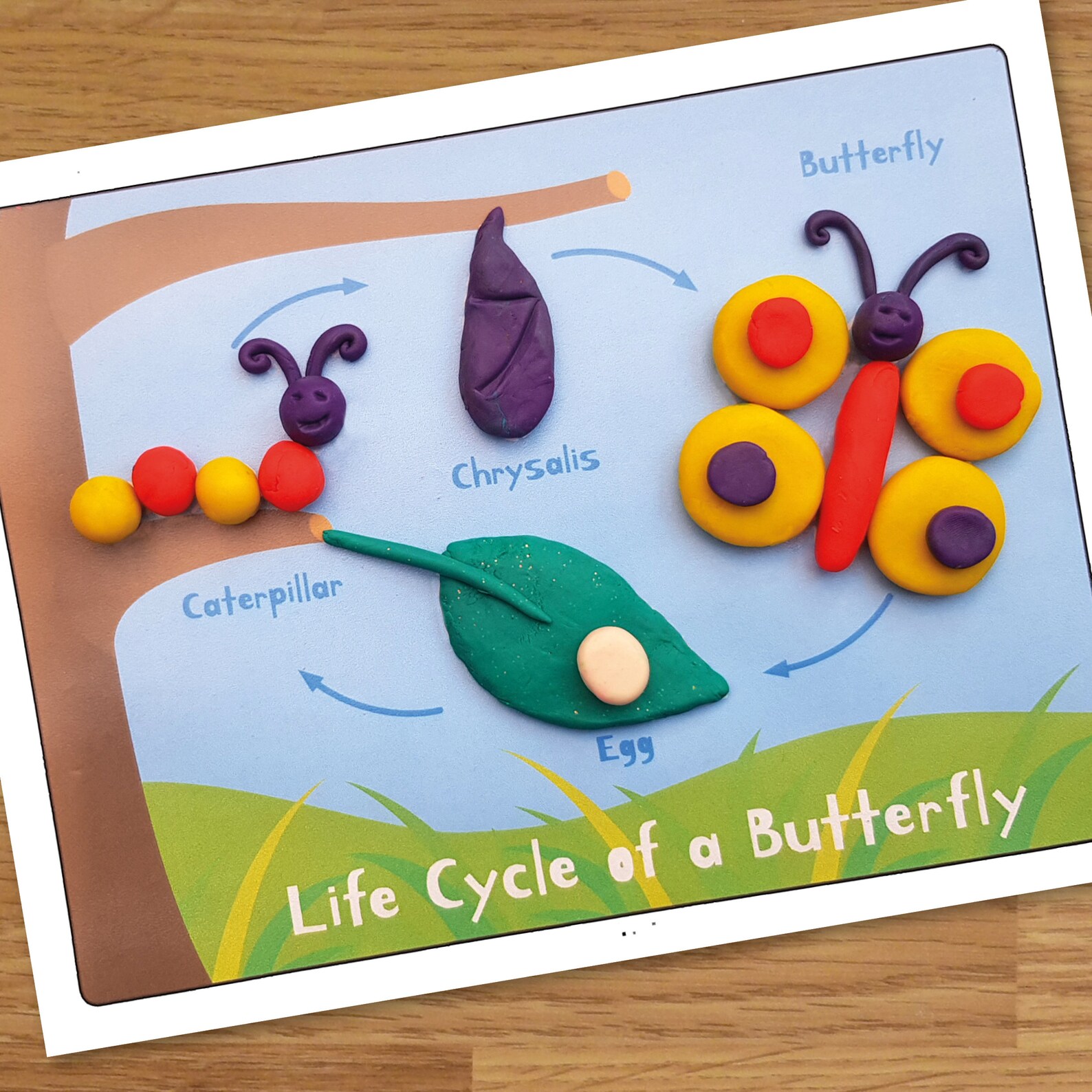 Life Cycle of a Butterfly Play Dough Mat Kids Homeschool - Etsy UK