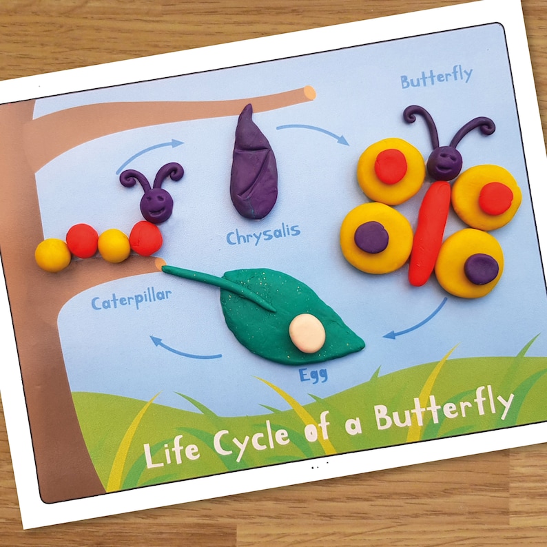 Life Cycle of a Butterfly Play Dough Mat, Kids Homeschool Caterpillar ...