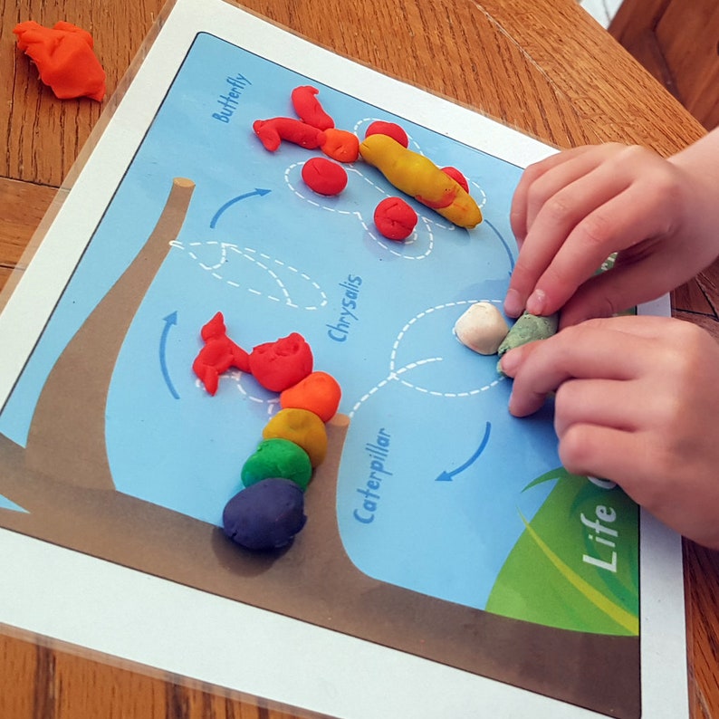 Life Cycle of a Butterfly Play Dough Mat, Kids Homeschool Caterpillar ...