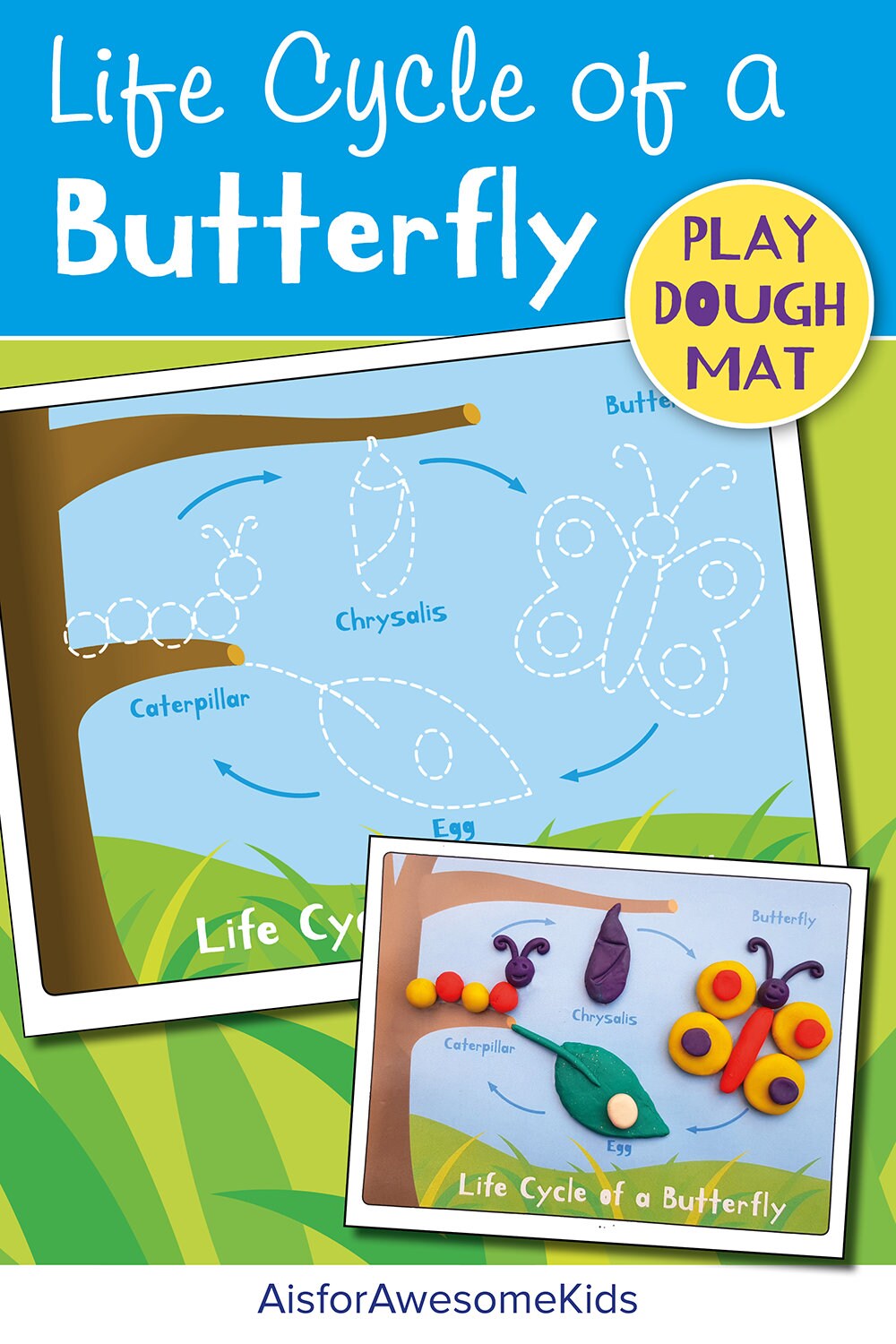 Life Cycle of a Butterfly Play Dough Mat, Kids Homeschool Caterpillar ...