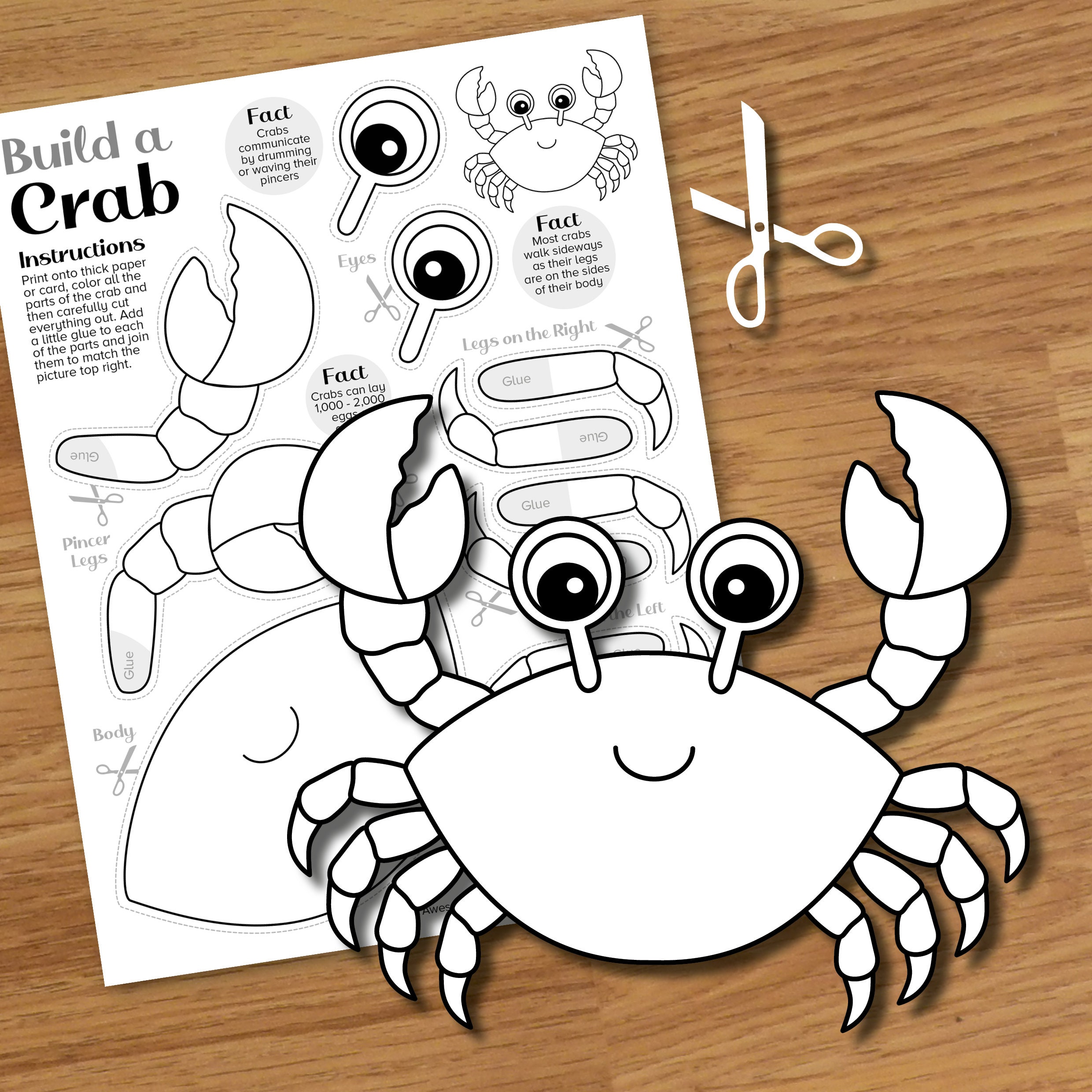 Crab Cut & Paste Craft Printable, Summer Beach Color and Build Art Kit ...