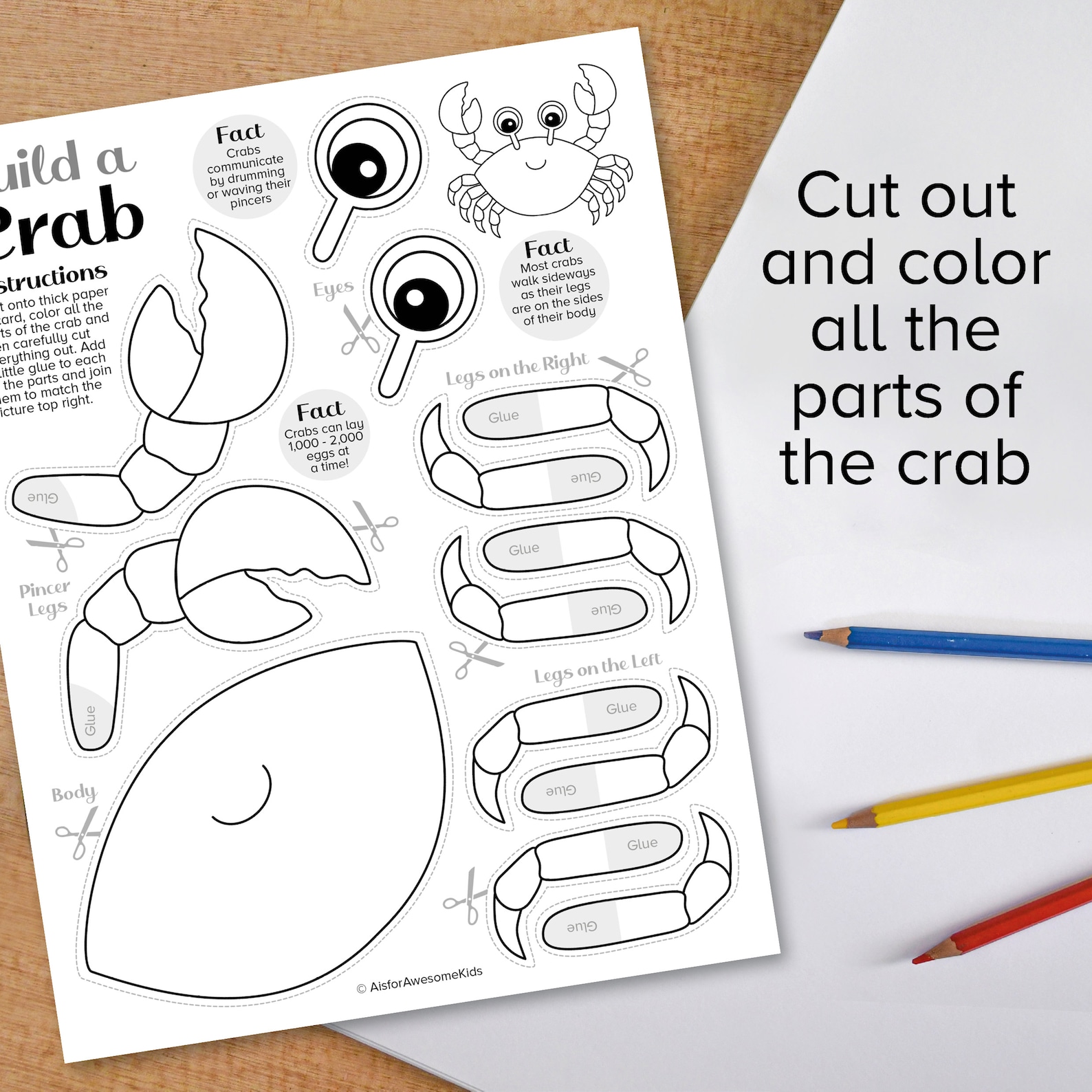 Crab Cut & Paste Craft Printable, Summer Beach Color and Build Art Kit ...