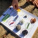 Color Scavenger Hunt Challenge, Kids Colour Treasure Trail Game ...