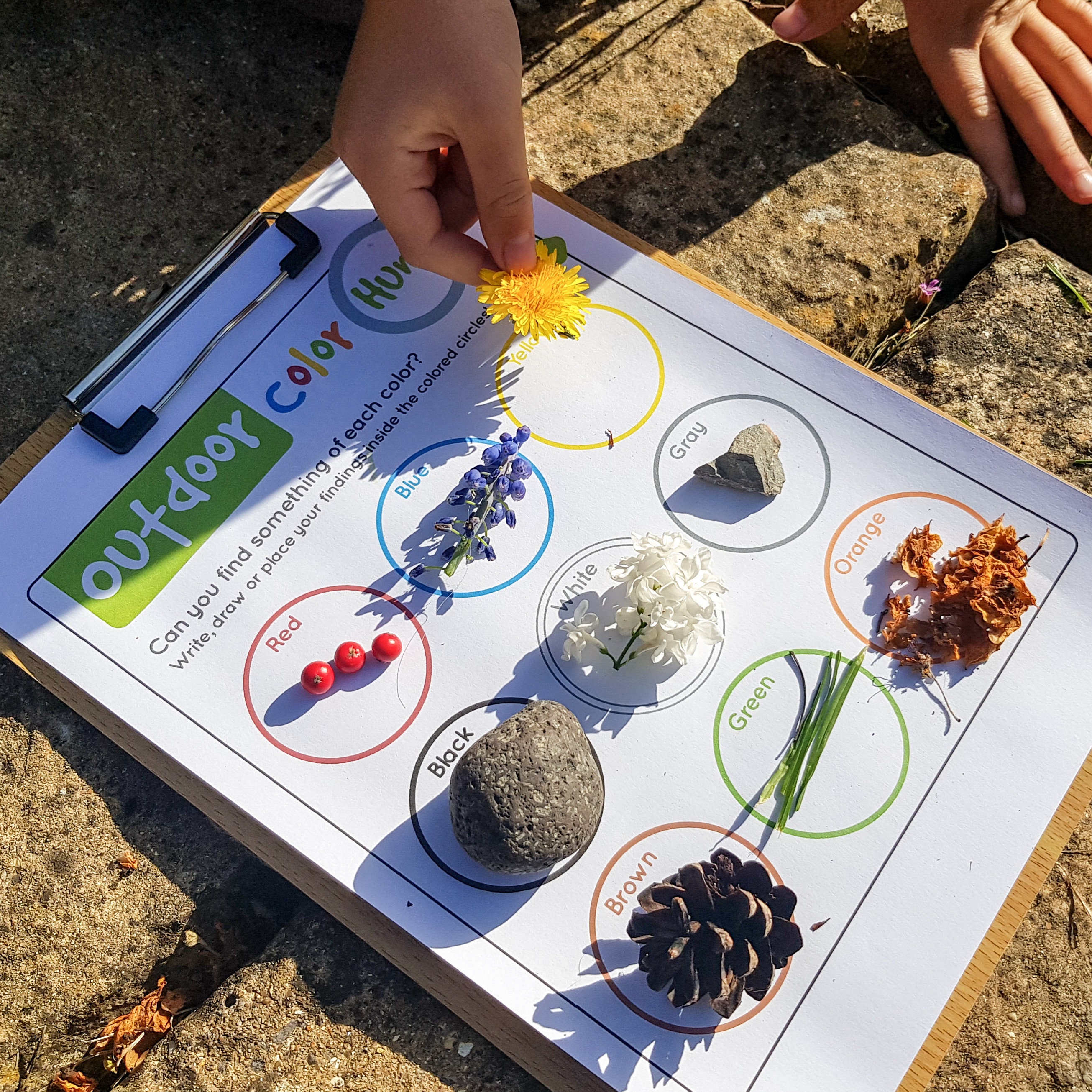 Color Scavenger Hunt Challenge, Kids Colour Treasure Trail Game ...