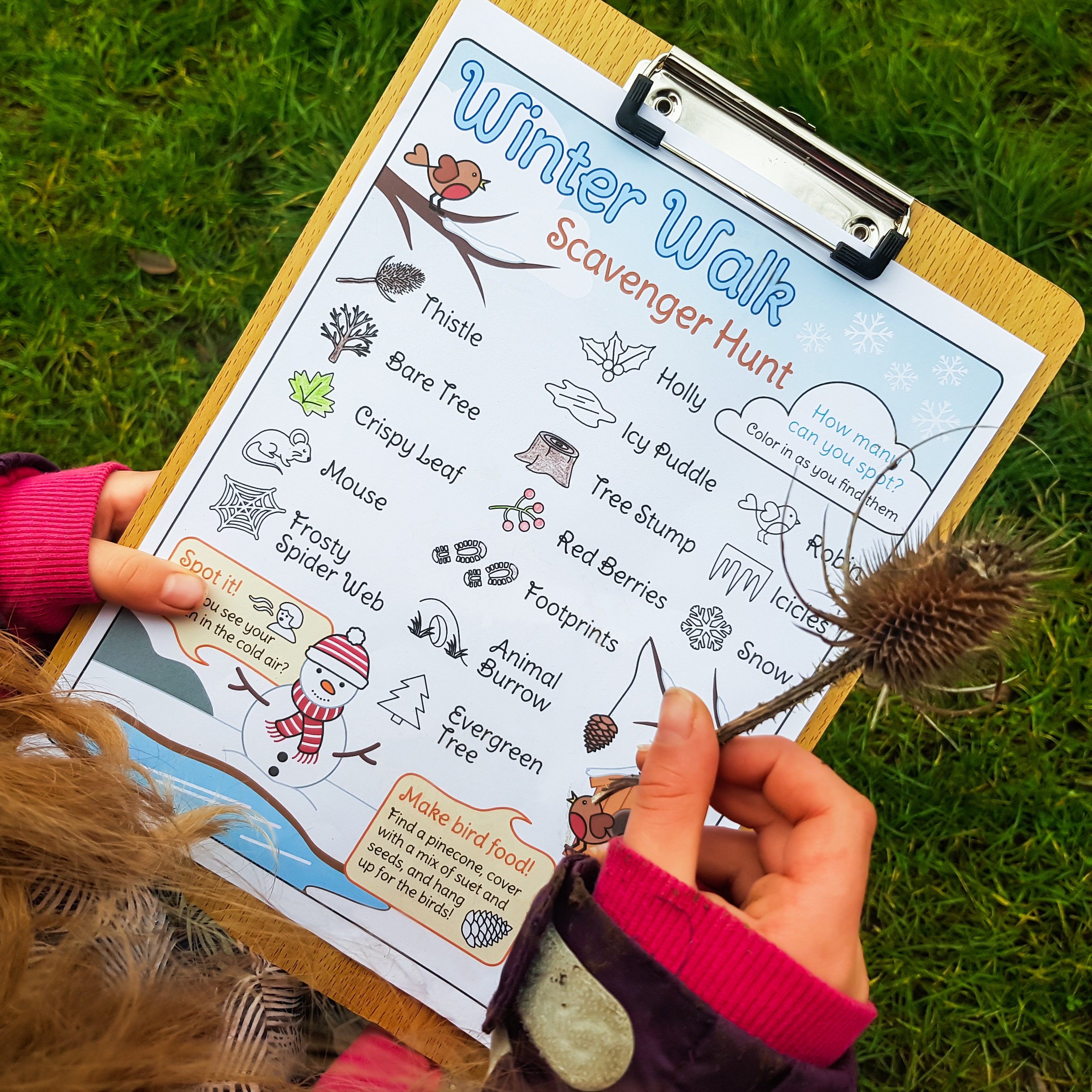 Four Seasons Nature Walk Scavenger Hunt, Kids Spot & Color Treasure ...