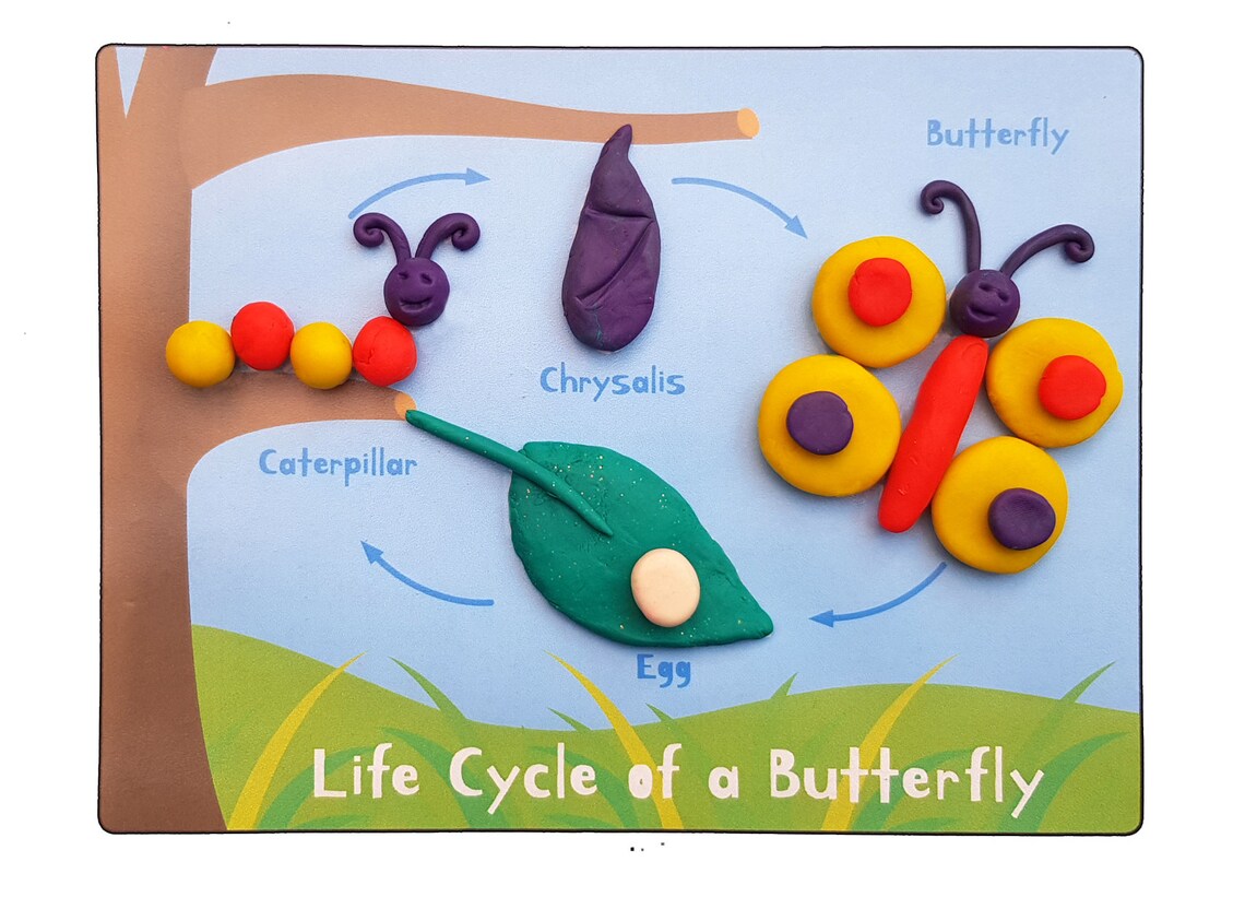 Life Cycle of a Butterfly Play Dough Mat Kids Homeschool | Etsy