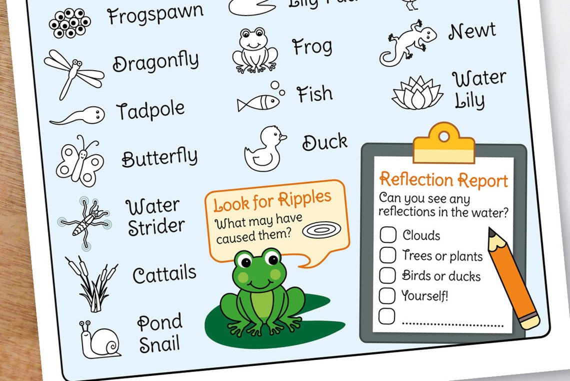 Pond Scavenger Treasure Hunt, Kids Wildlife Look & Find Trail ...