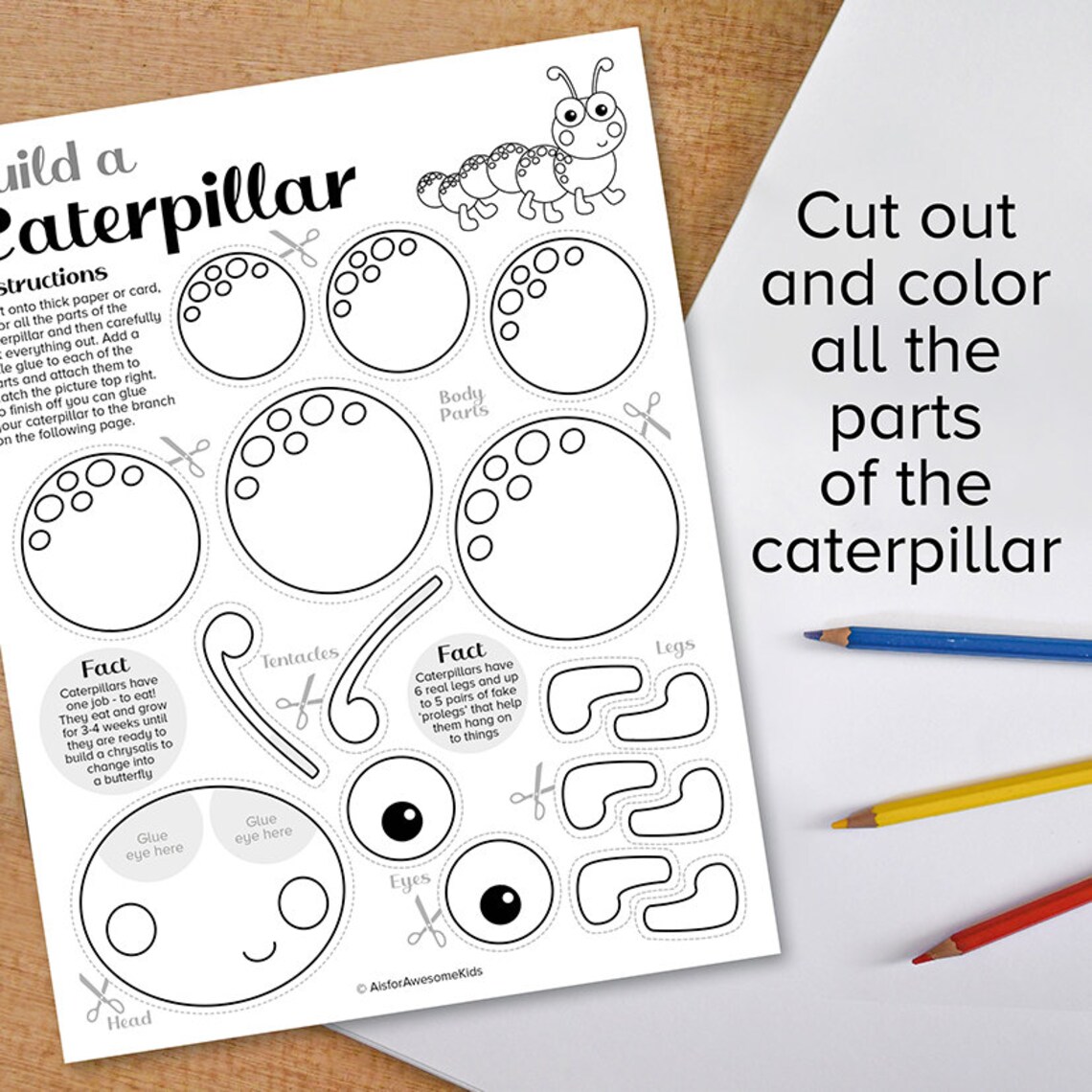 Caterpillar Cut & Paste Craft Printable, Spring Bug Color and Build Kit ...