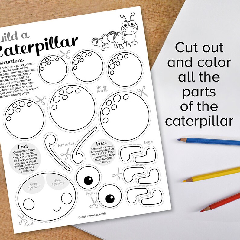 Caterpillar Cut & Paste Craft Printable, Spring Bug Color and Build Kit ...