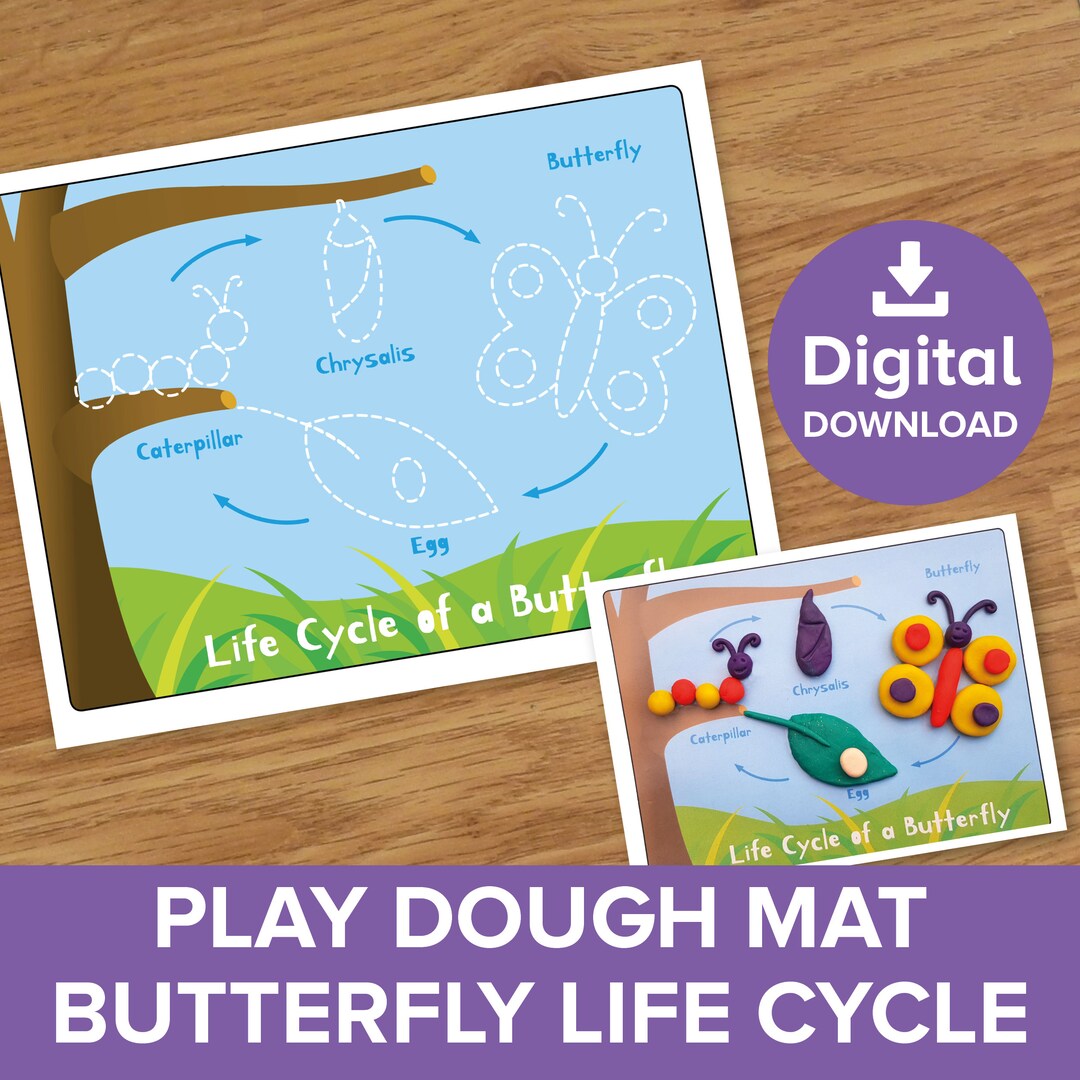 Life Cycle of a Butterfly Play Dough Mat, Kids Homeschool Caterpillar ...