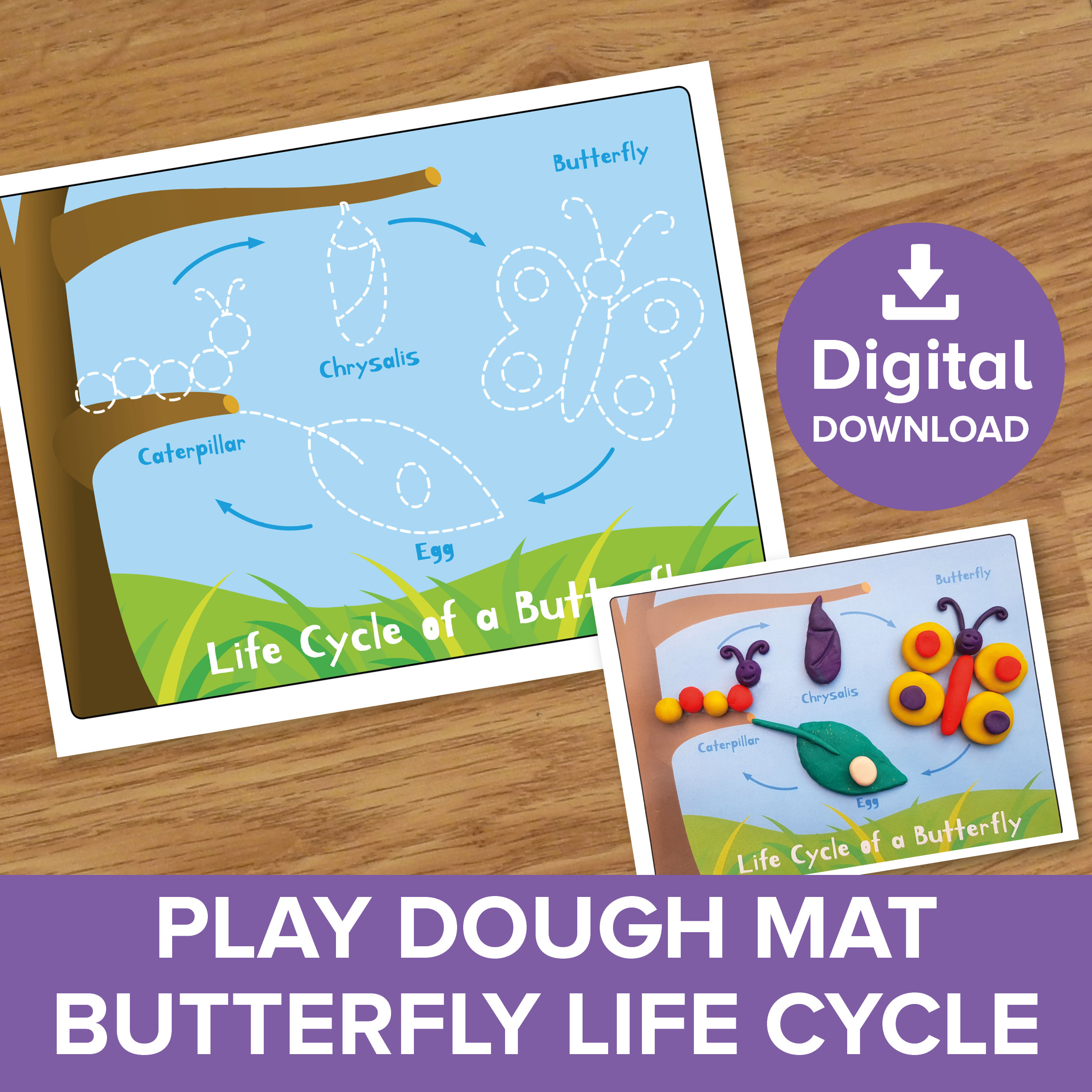 Life Cycle of a Butterfly Play Dough Mat, Kids Homeschool Caterpillar ...