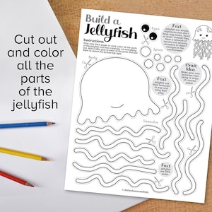 Jellyfish Cut & Paste Craft Printable, Marine Jelly Fish Color and ...