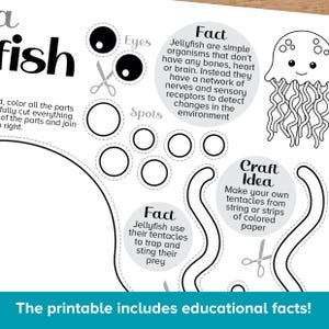 Jellyfish Cut & Paste Craft Printable, Marine Jelly Fish Color and ...