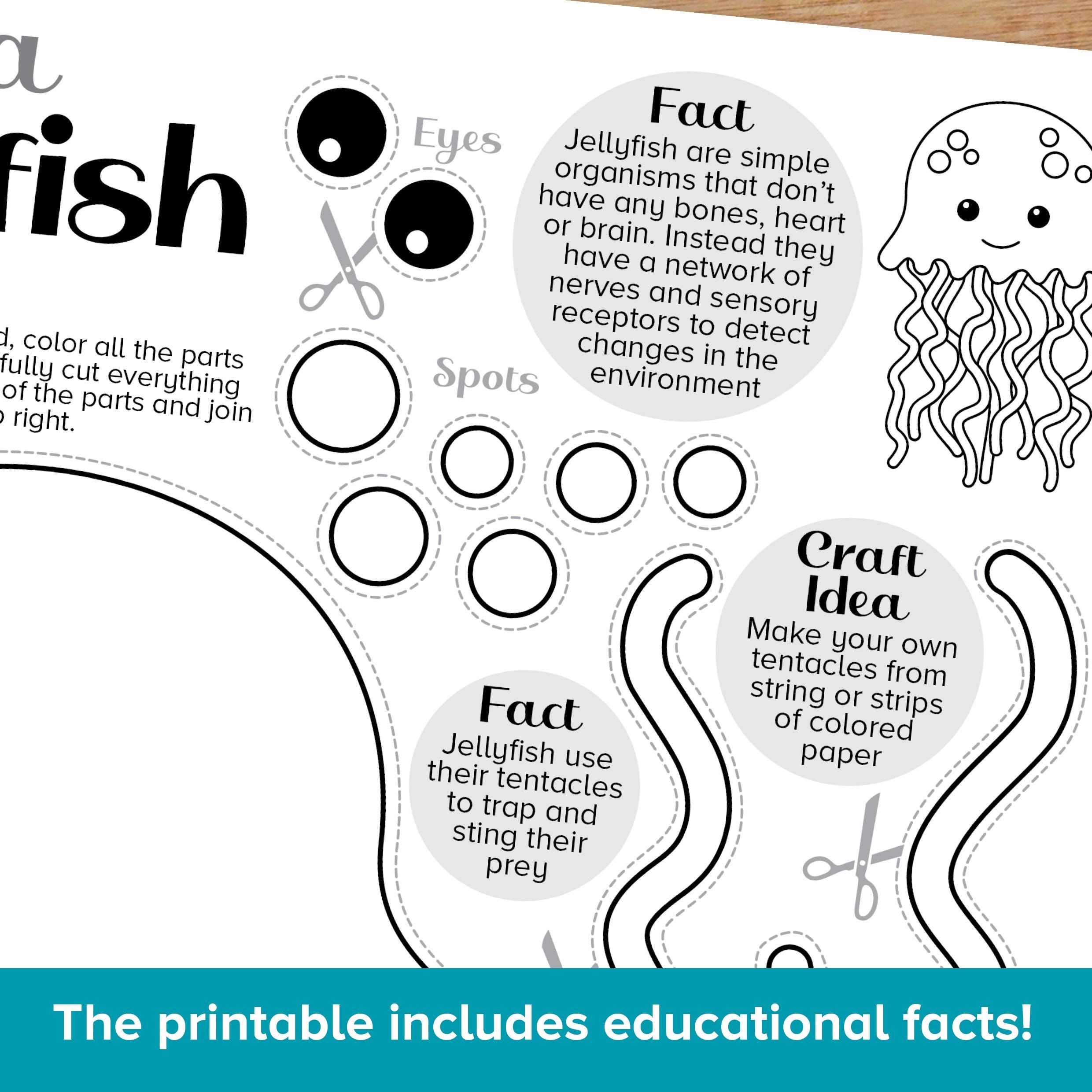 Jellyfish Cut & Paste Craft Printable, Marine Jelly Fish Color and ...