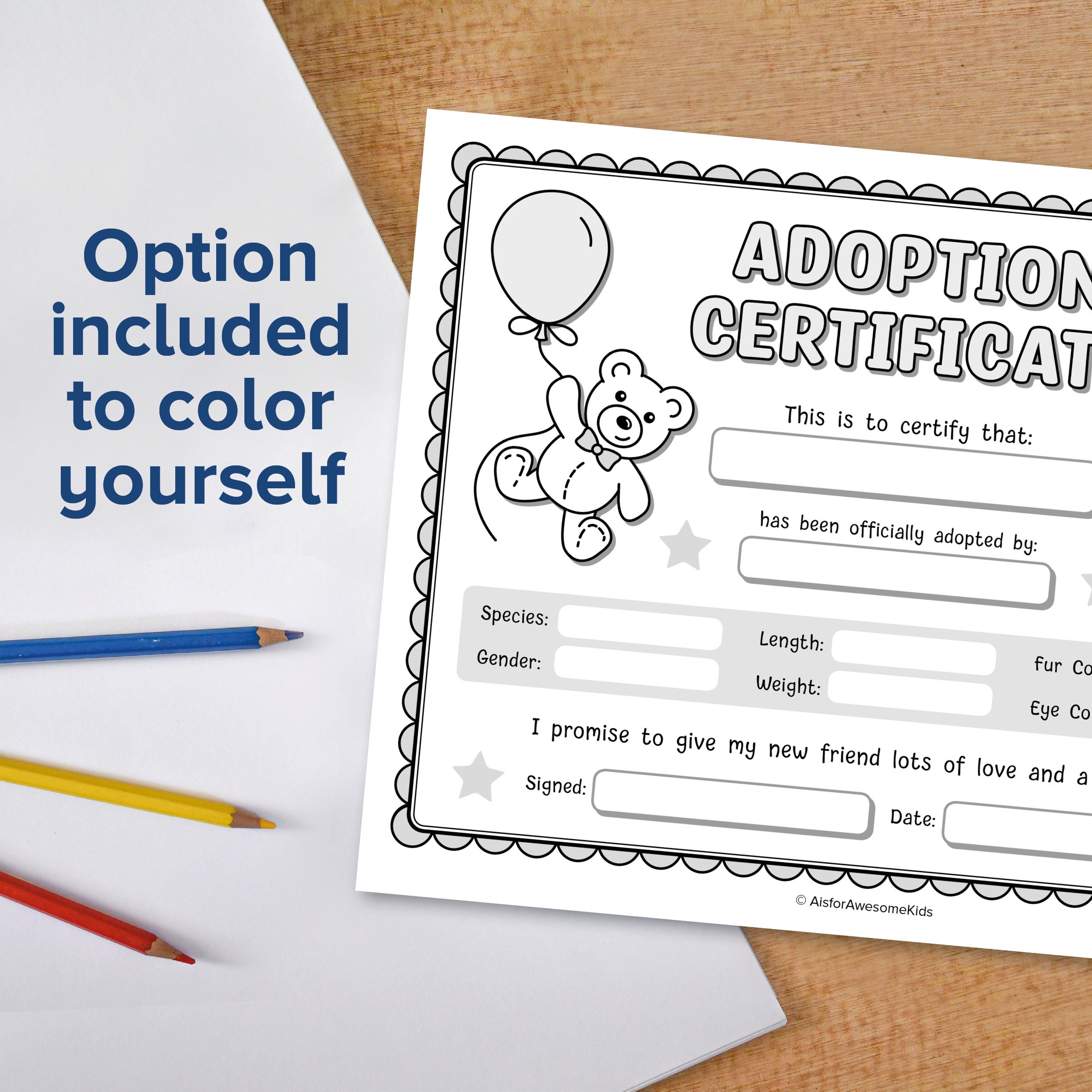 Teddy Birth Certificates, Plushie Adoption Certificate Form Template ...