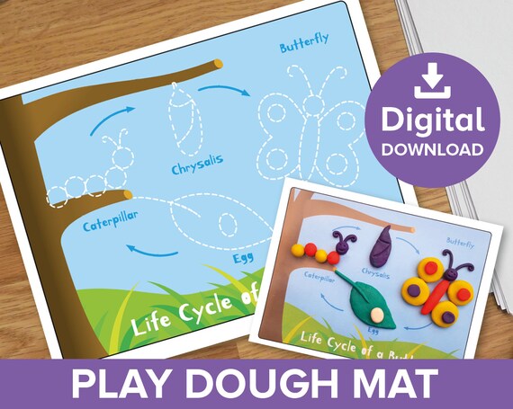 Life Cycle of a Butterfly Play Dough Mat Kids Homeschool - Etsy