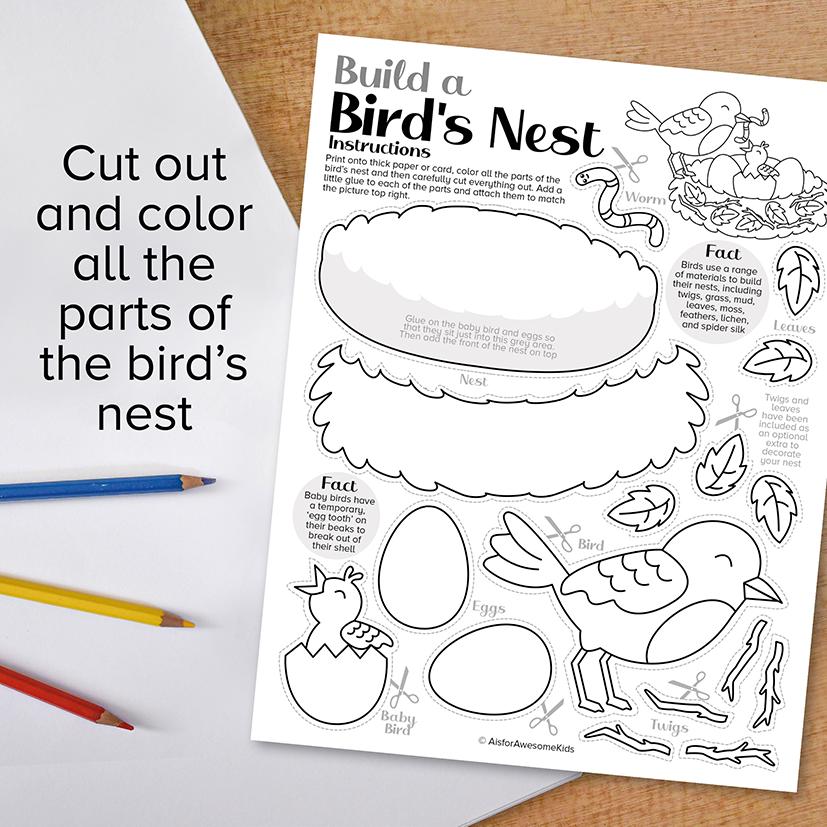 Bird's Nest Cut & Paste Craft Printable, Spring Animal Color and Build ...