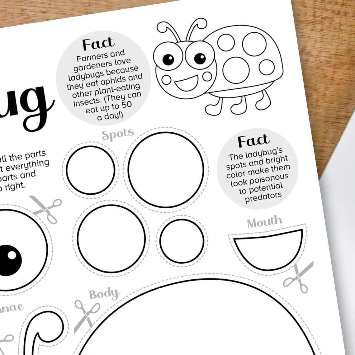 Ladybug Cut & Paste Craft Printable, Spring Bug Color and Build Kit ...