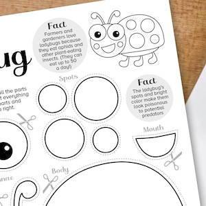 Ladybug Cut & Paste Craft Printable, Spring Bug Color and Build Kit ...