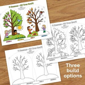 3D Seasonal Tree Coloring Craft, Four Seasons Educational Paper Model ...