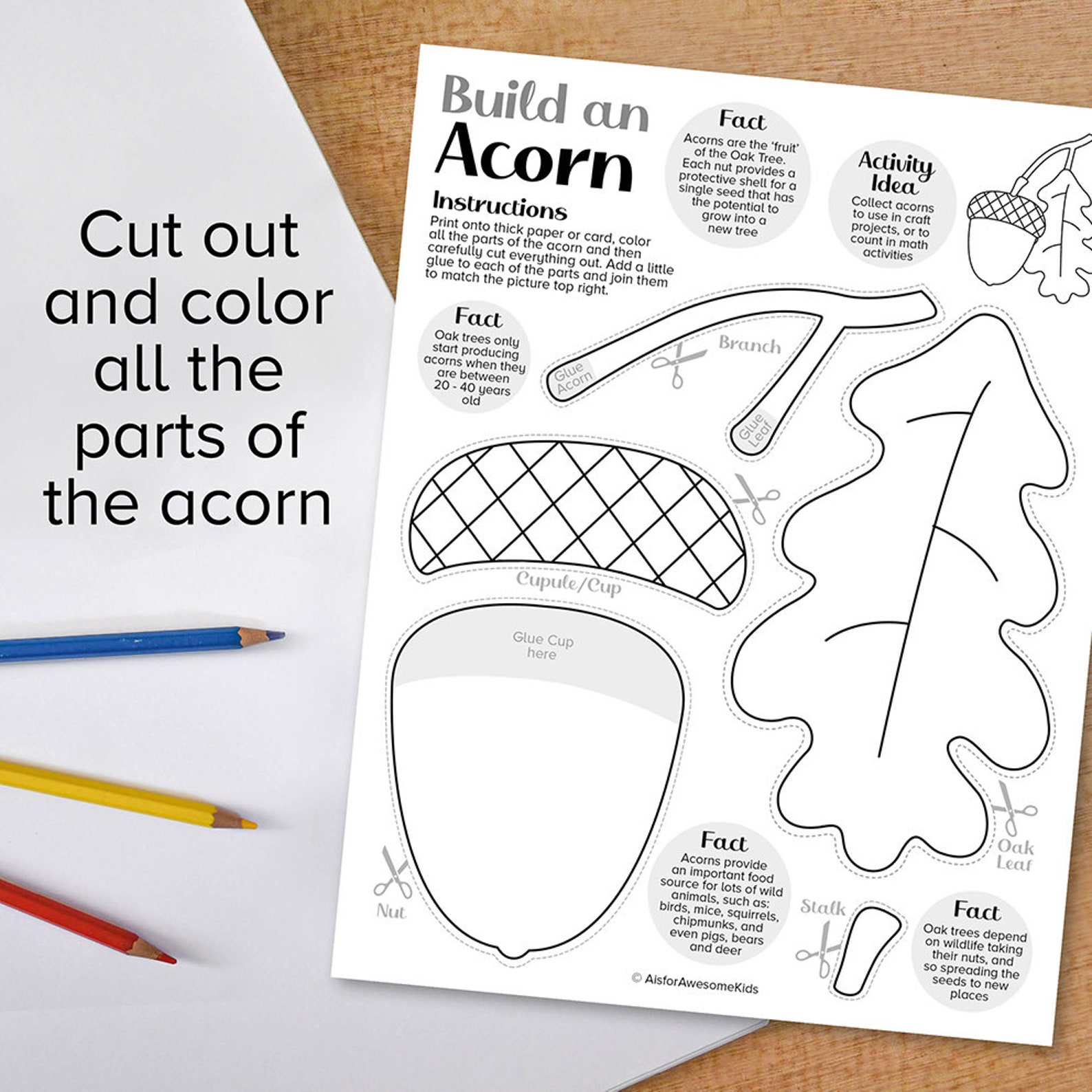 Build an Acorn Cut & Paste Craft, Autumn Fall Coloring Activity Page ...