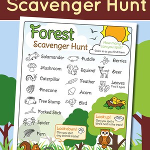 Forest Scavenger Hunt, Kids Woodland Treasure Hunt Trail, Childrens ...