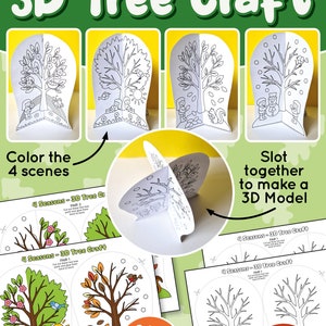 3D Seasonal Tree Coloring Craft, Four Seasons Educational Paper Model ...