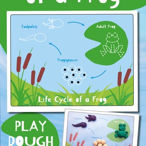 Nature Play Dough Mat Bundle, Kids Life Cycle Playdoh Activities ...