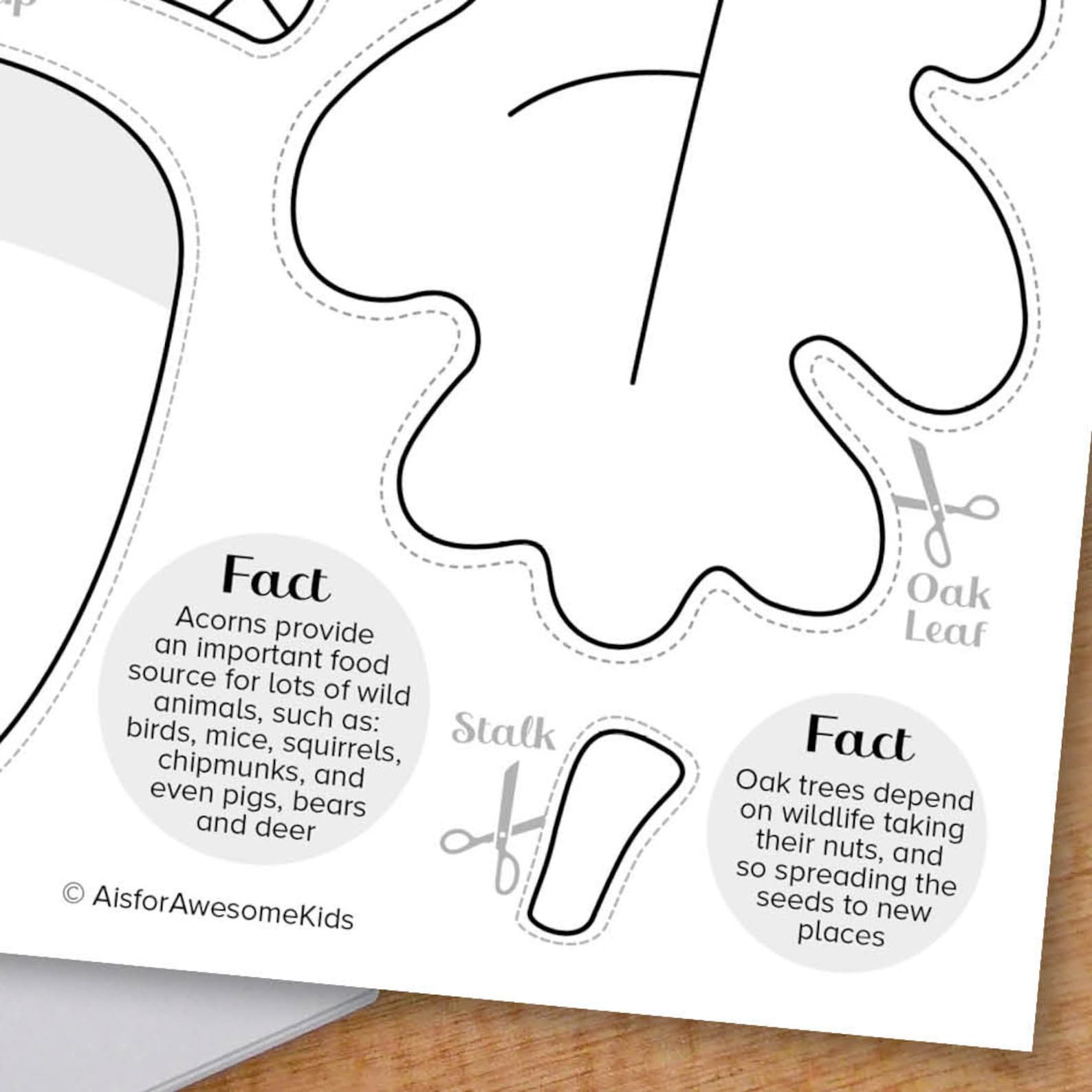Build an Acorn Cut & Paste Craft, Autumn Fall Coloring Activity Page ...