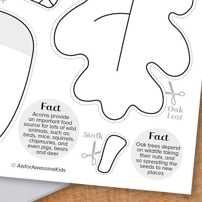 Build an Acorn Cut & Paste Craft, Autumn Fall Coloring Activity Page ...