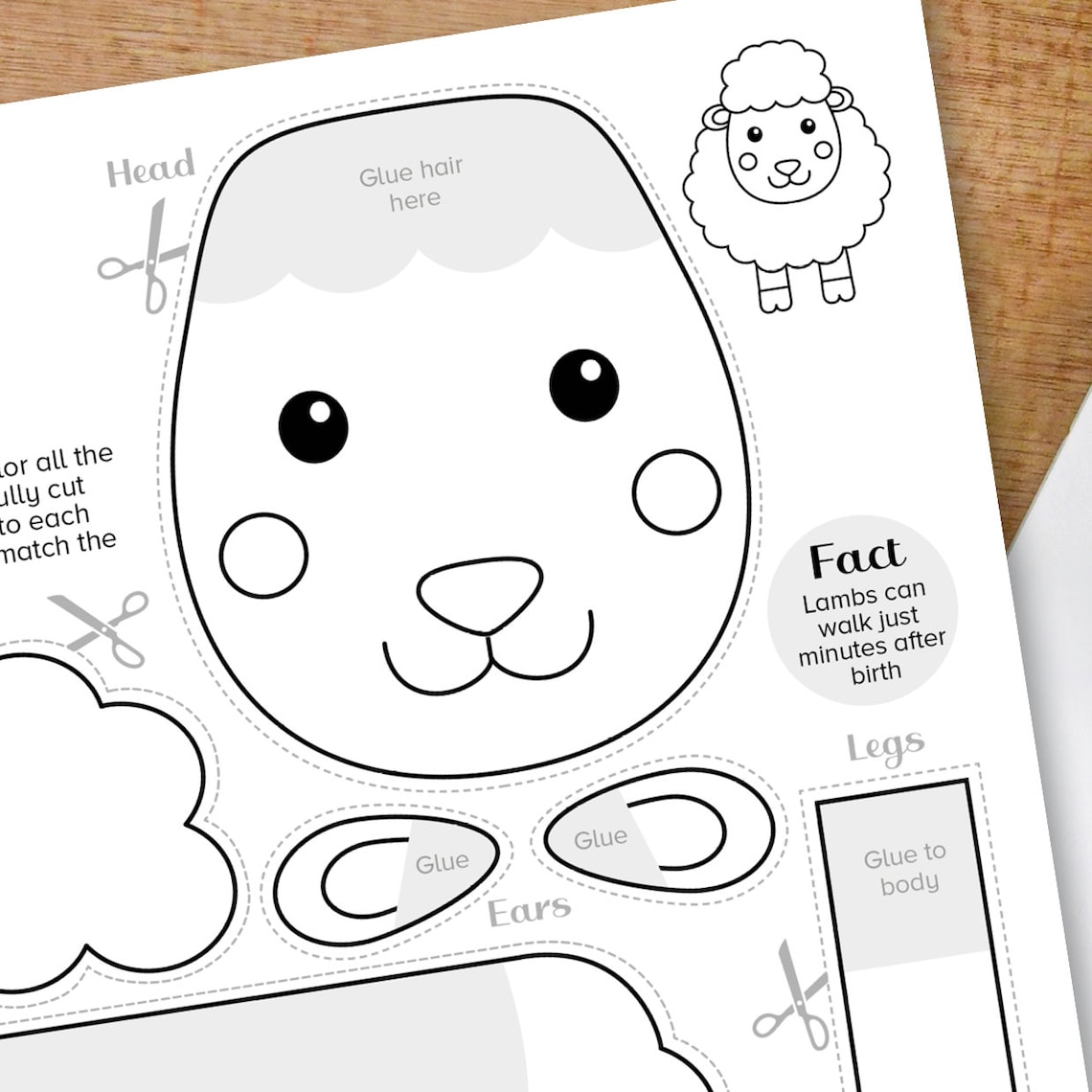 Lamb Cut & Paste Craft Printable, Build a Sheep Coloring, Spring Baby ...