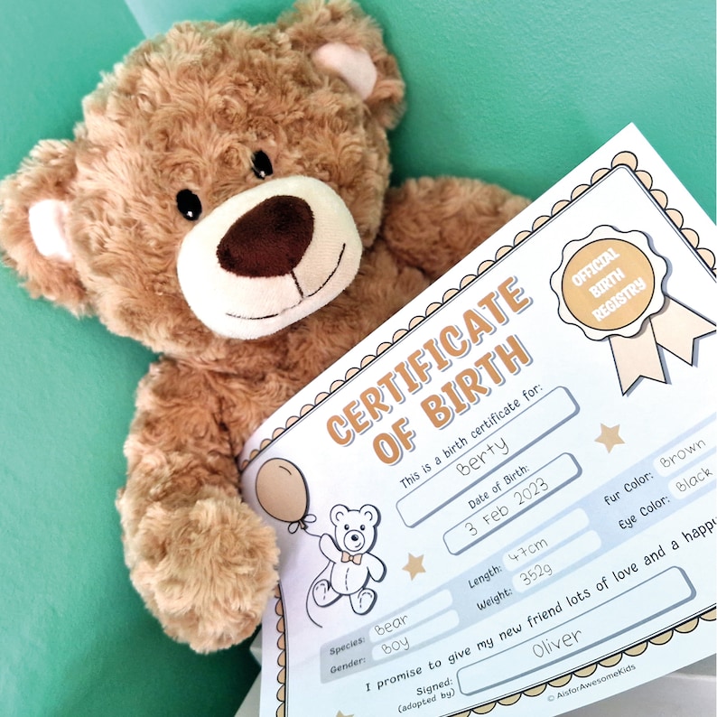 Teddy Birth Certificates, Plushie Adoption Certificate Form Template ...