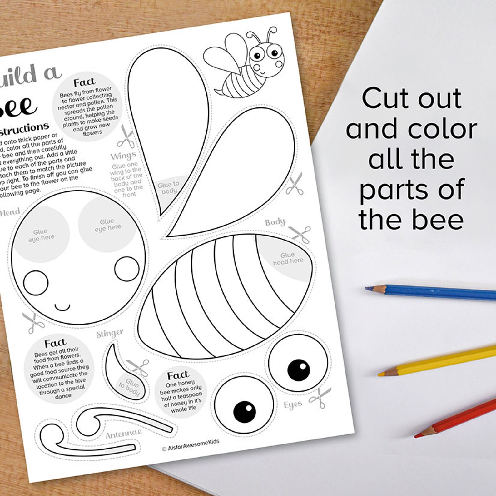 Bee Cut & Paste Craft Printable, Spring Bug Color and Build Kit, Summer ...