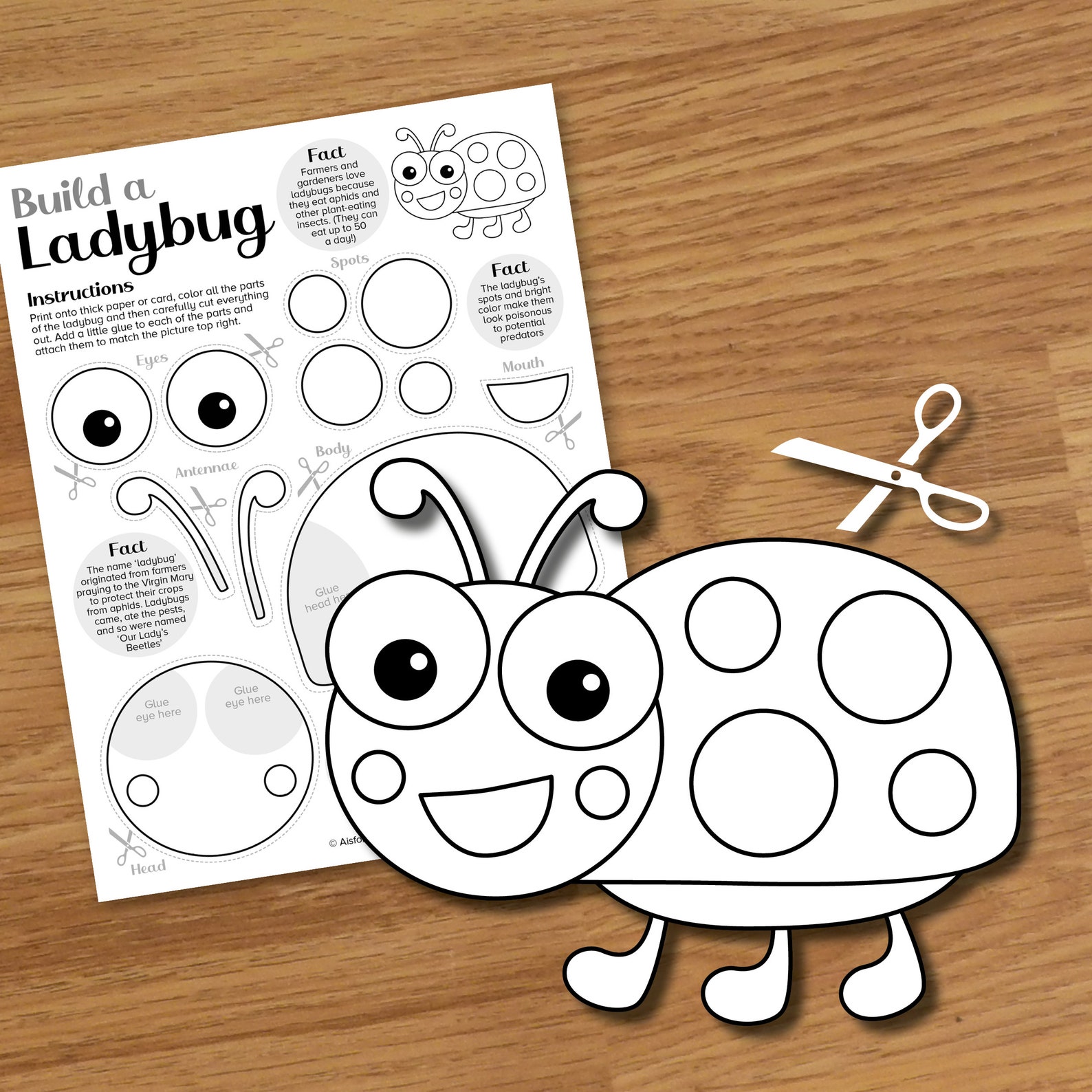 Ladybug Cut & Paste Craft Printable, Spring Bug Color and Build Kit ...