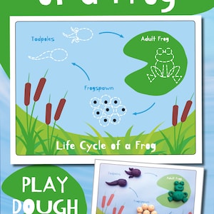 Life Cycle of a Frog Play Dough Mat, Nature Pond Educational Playdoh ...