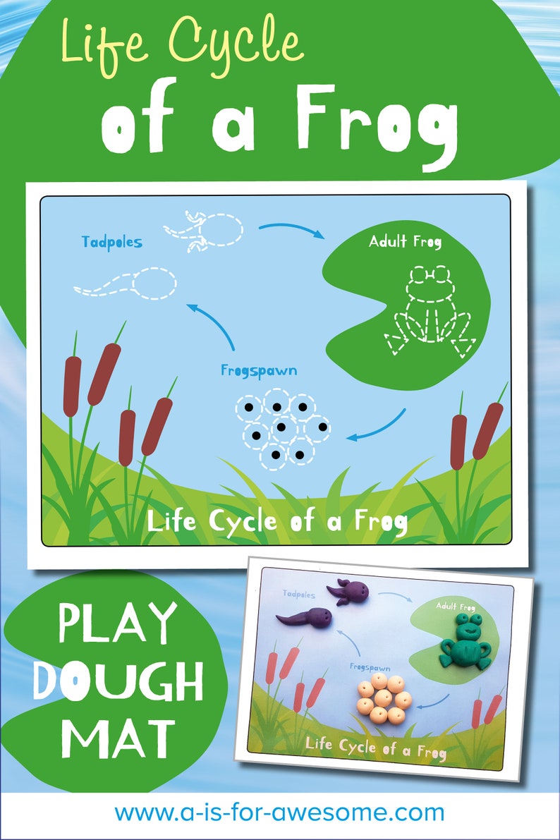 Life Cycle of a Frog Play Dough Mat, Nature Pond Educational Playdoh ...