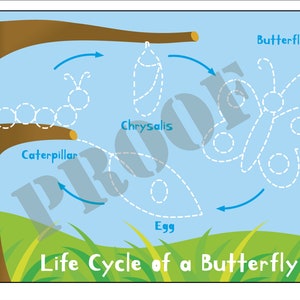 Life Cycle of a Butterfly Play Dough Mat Kids Homeschool - Etsy UK