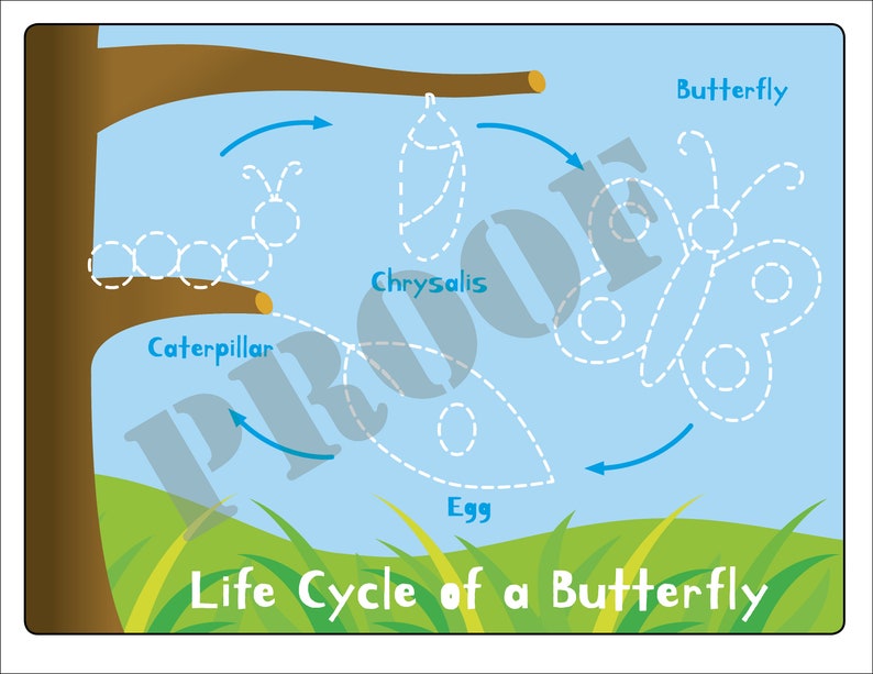 Life Cycle of a Butterfly Play Dough Mat Kids Homeschool - Etsy UK